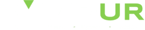 About VIDUR - VIDUR
